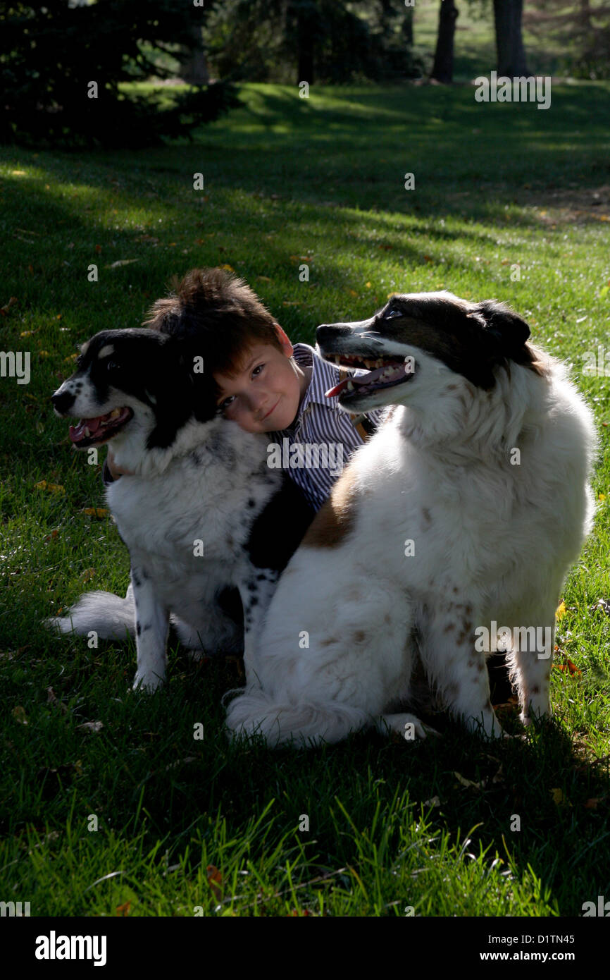 A little boy with his two Border Collie dogs Stock Photo - Alamy