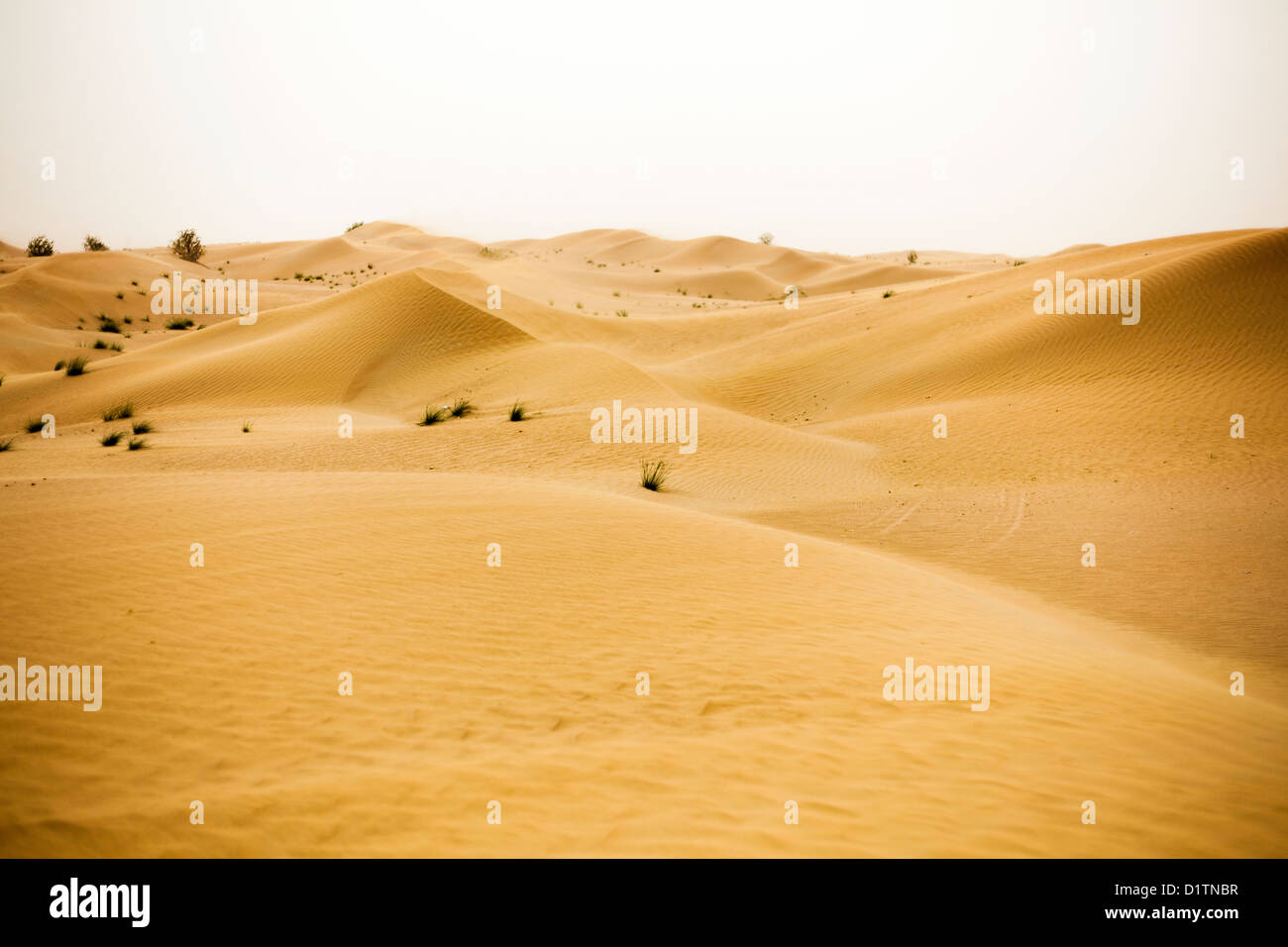 Dubai uae desert hi-res stock photography and images - Alamy