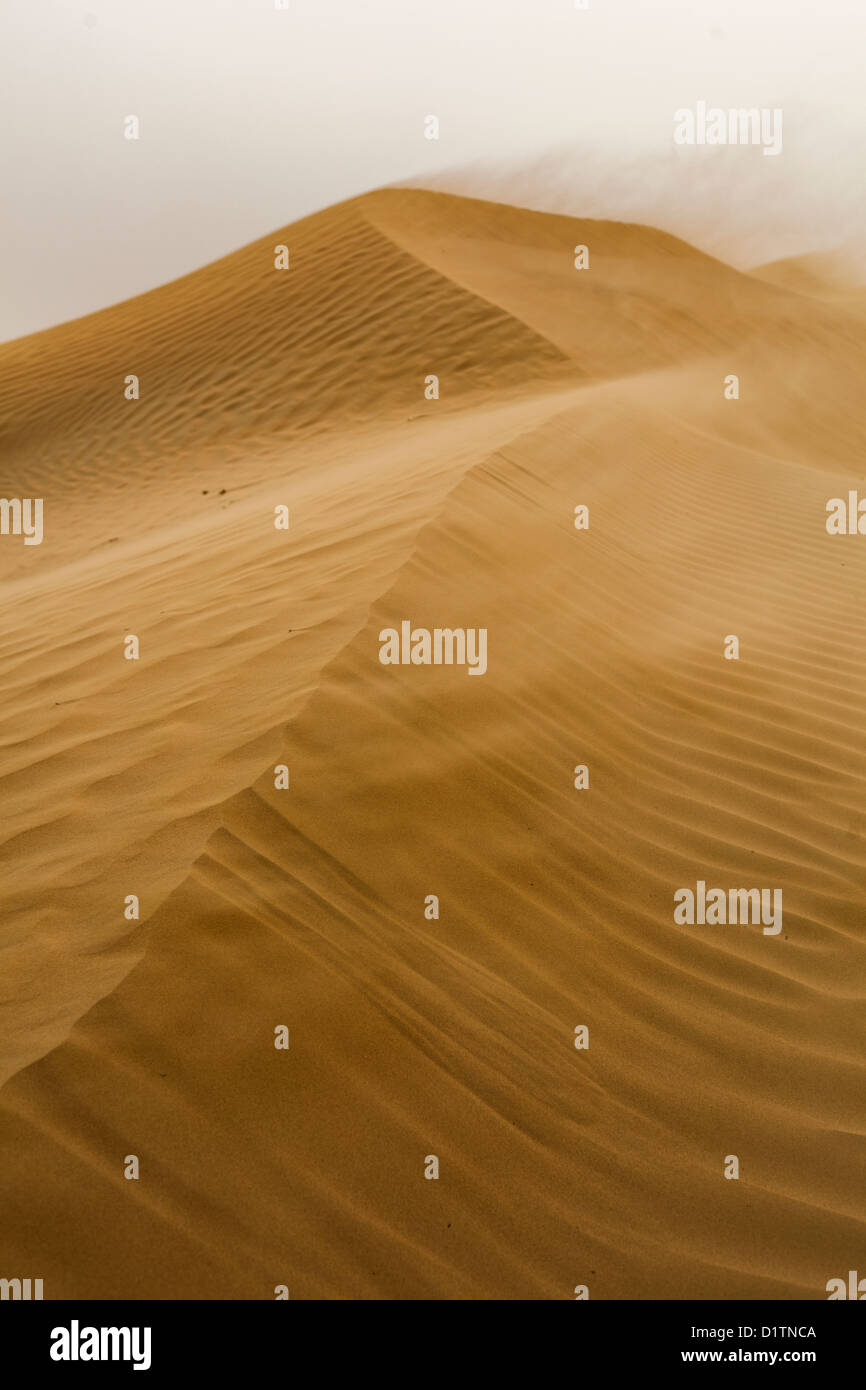 Windy dunes hi-res stock photography and images - Alamy