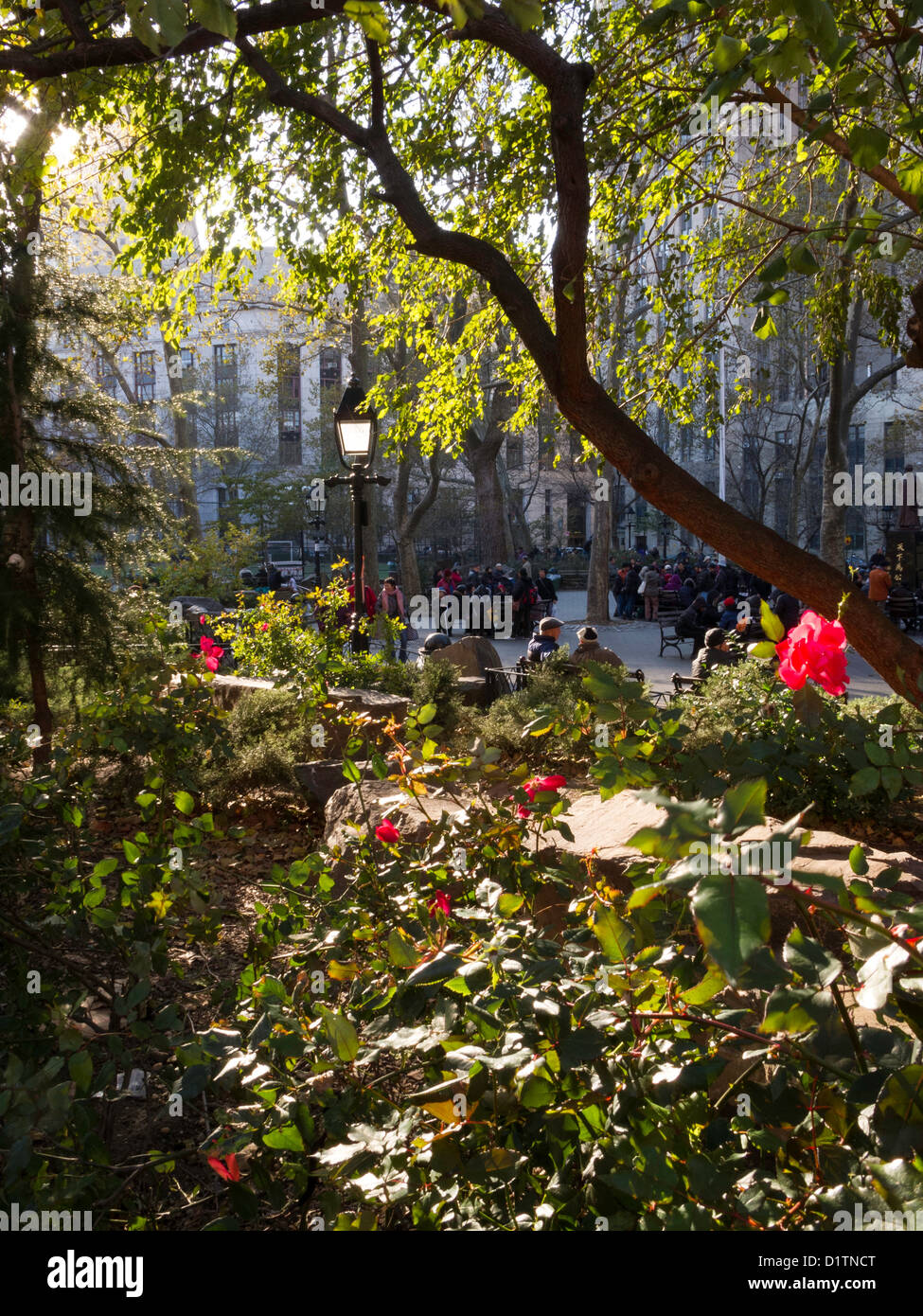 Columbus Park, Chinatown, NYC Stock Photo - Alamy