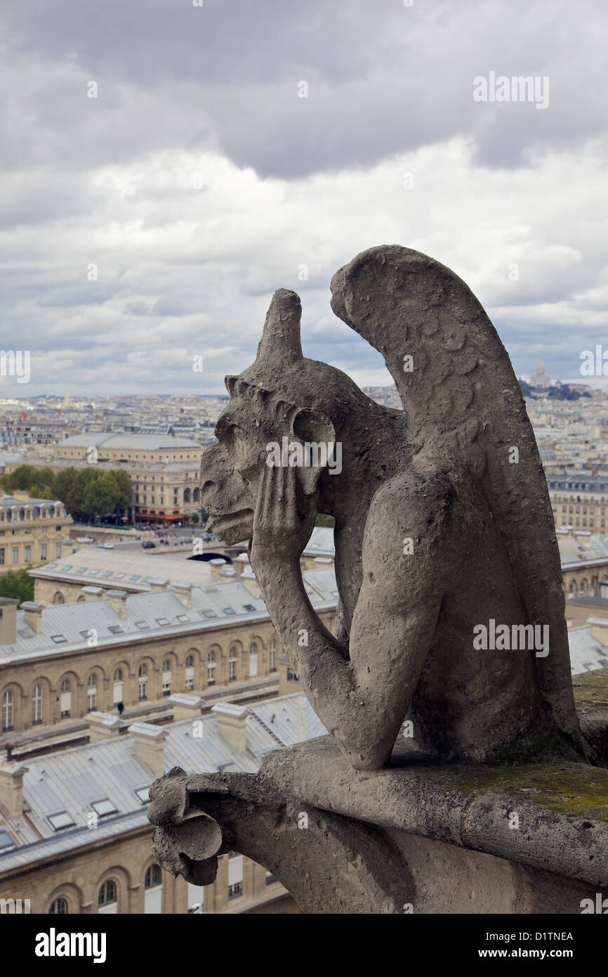 Statues on roof notre dame hi-res stock photography and images - Alamy