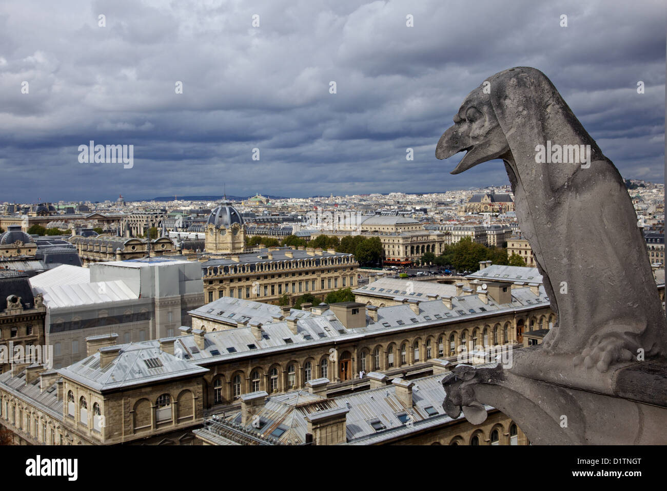 Gargoyle on the roof of the Notre Dame Cathedral in Paris, Ile de la ...