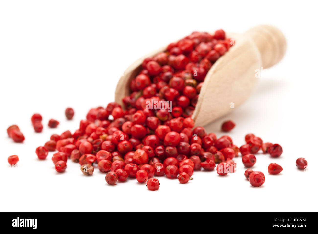 Pink Pepper (also called "Brazil Pepper", "Schinus terebinthifolius ...