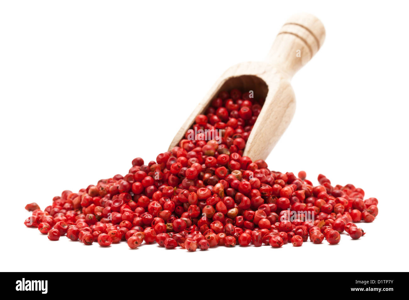 Pink Pepper (also called "Brazil Pepper", "Schinus terebinthifolius ...