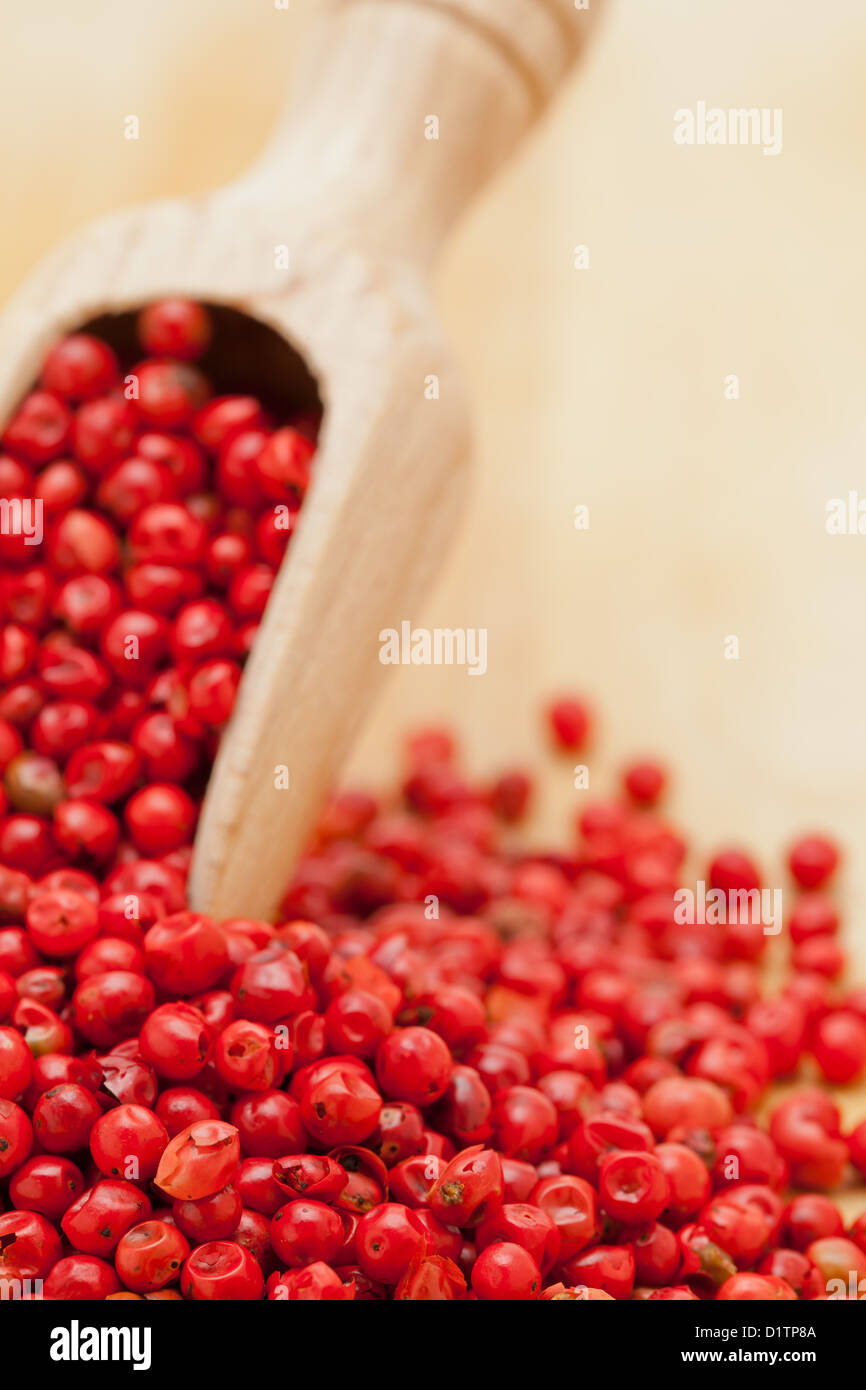 Close up of Pink Pepper (also called "Brazil Pepper", "Schinus ...