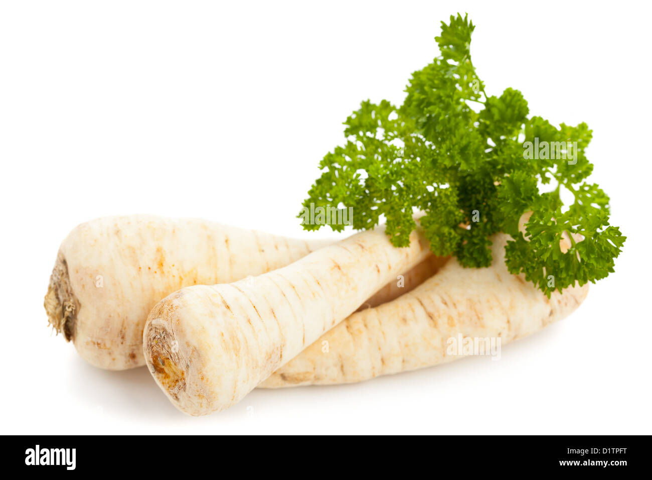 Root parsley hi-res stock photography and images - Alamy