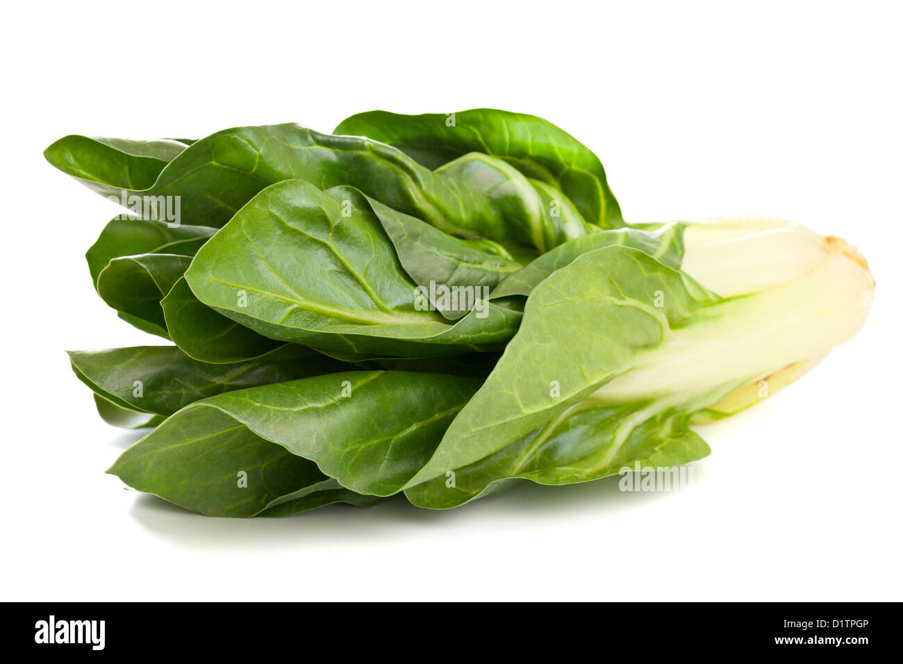 Chard hi-res stock photography and images - Alamy