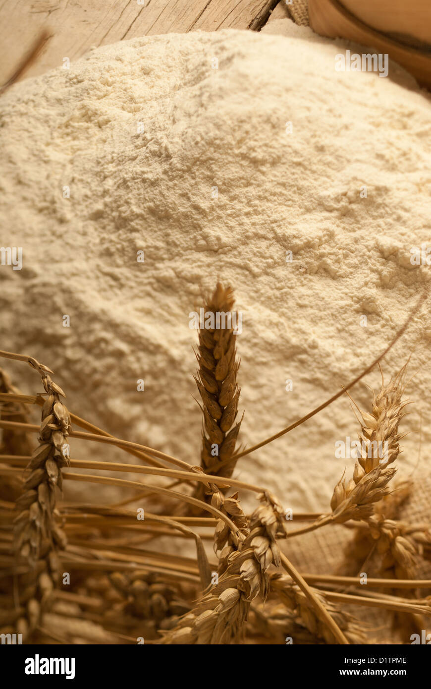 Wheat flour with the original wheat on a table with copy space Stock ...