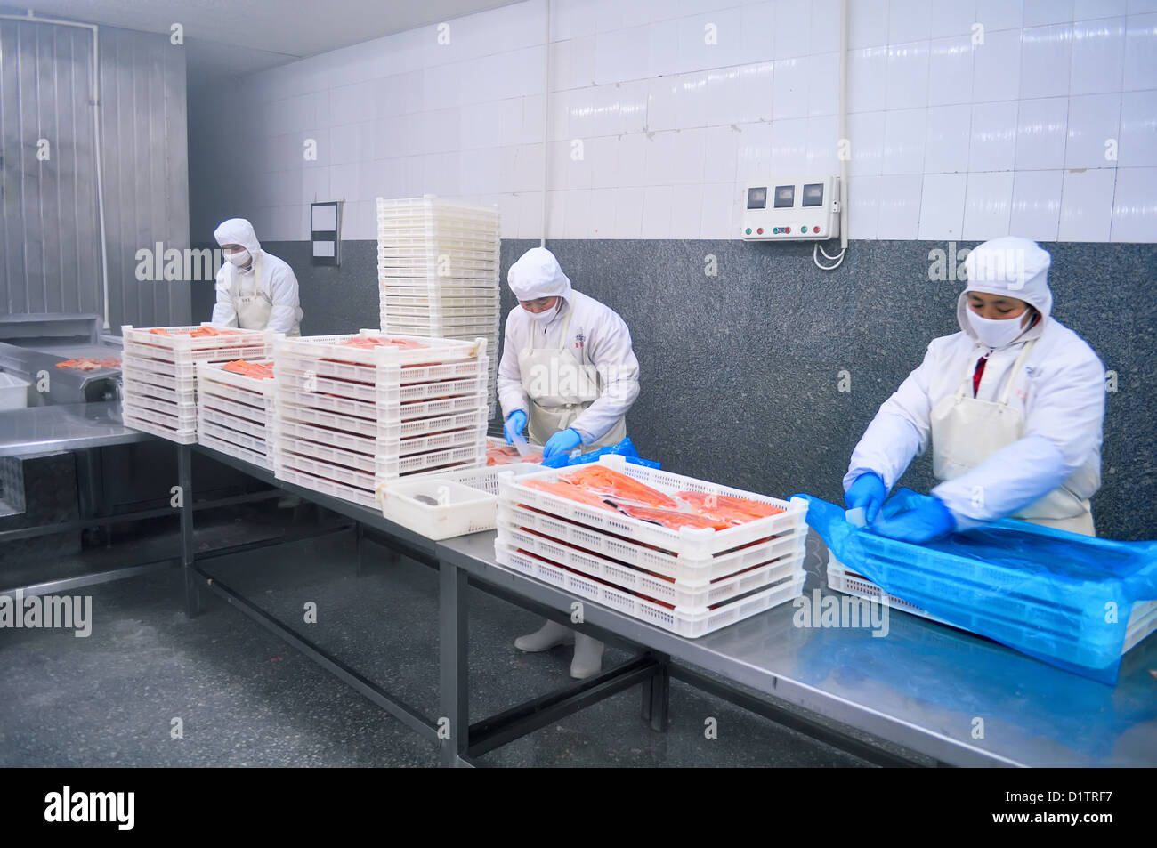 Salmon processing plant Stock Photo - Alamy