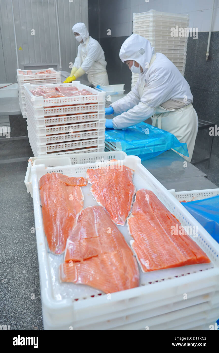 Fish processing plant china hi-res stock photography and images - Alamy