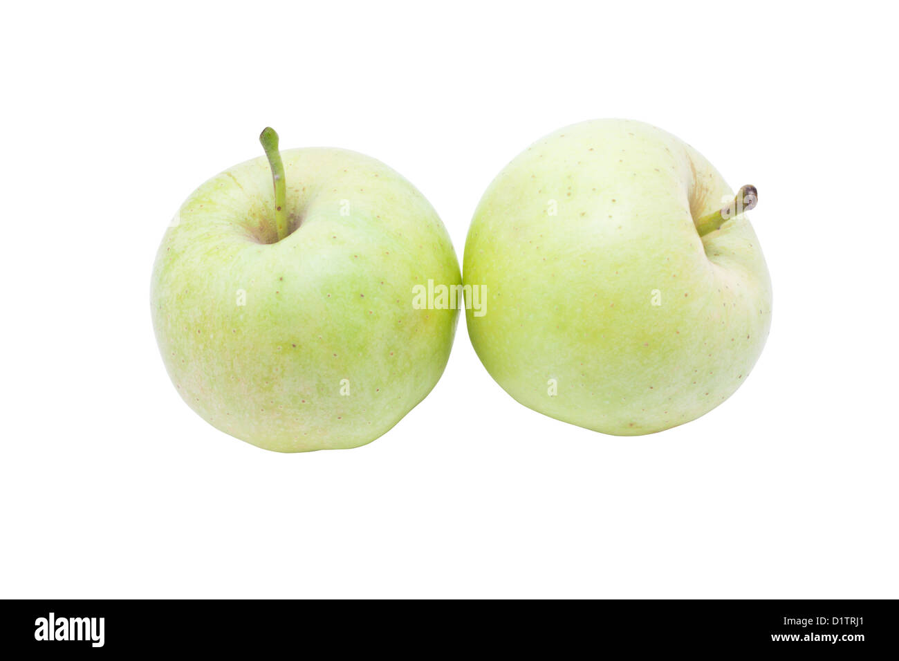 Two green apples isolated on white background Stock Photo - Alamy