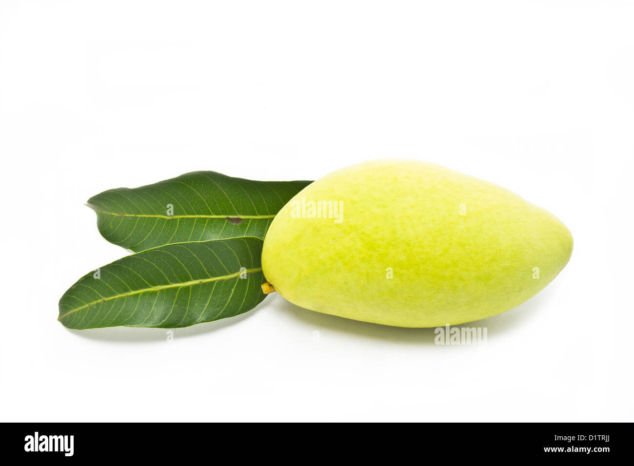 Green mango isolated on white background Stock Photo - Alamy