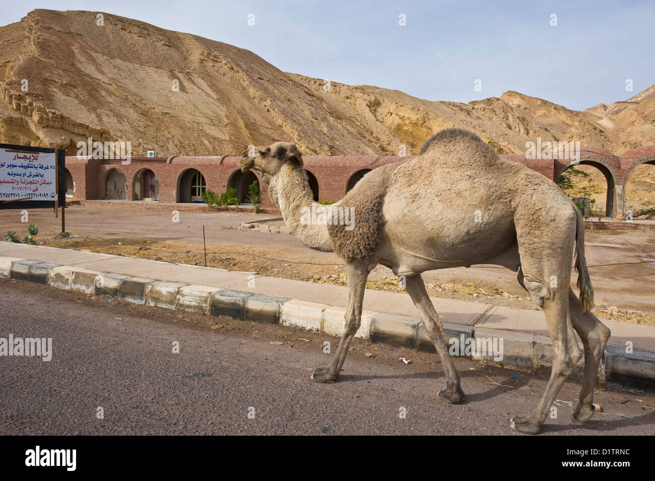Taba on Aqaba Bay of the Red Sea Stock Photo - Alamy