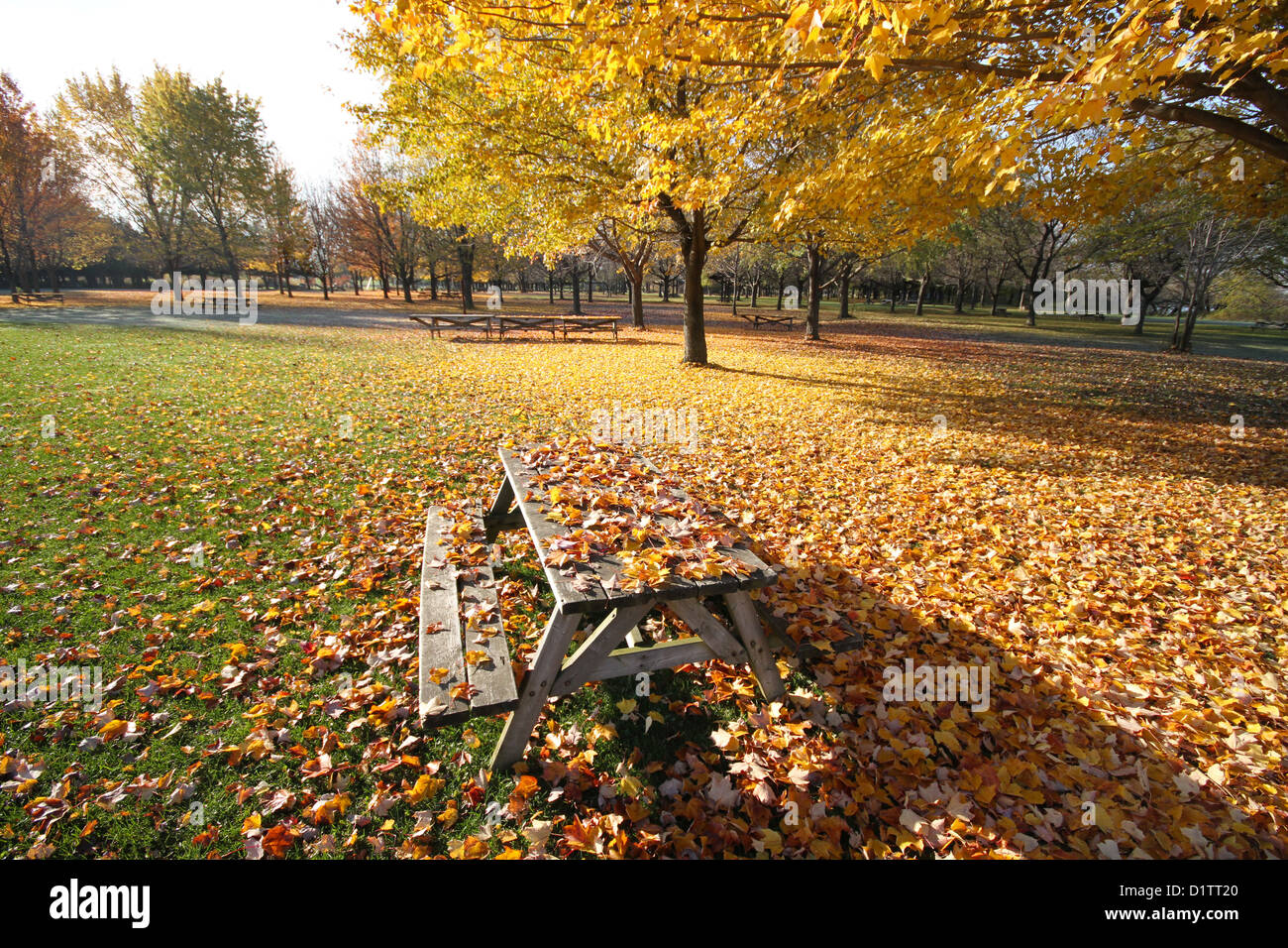 Canadian autumn landscape from Boucherville National Park Stock Photo ...