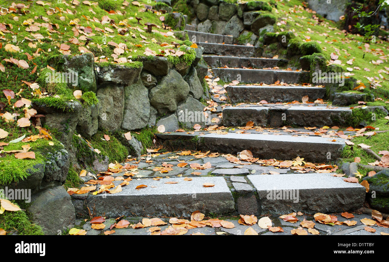 Spiral pathway hi-res stock photography and images - Alamy