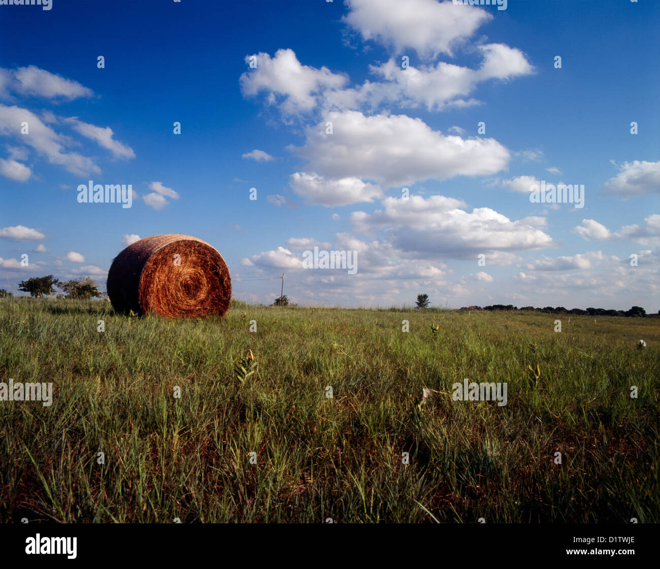 Farmland in virginia hi-res stock photography and images - Alamy