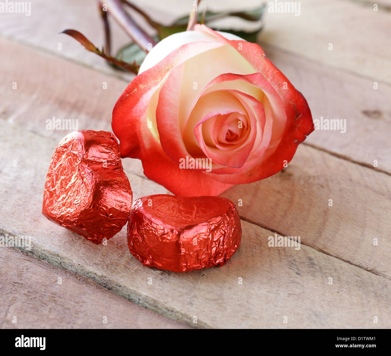 fresh rose and chocolate heart, gift for Valentines Day Stock Photo - Alamy