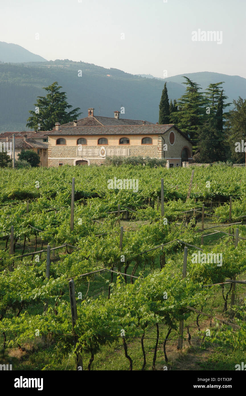 Valpolicella wine region hi-res stock photography and images - Alamy
