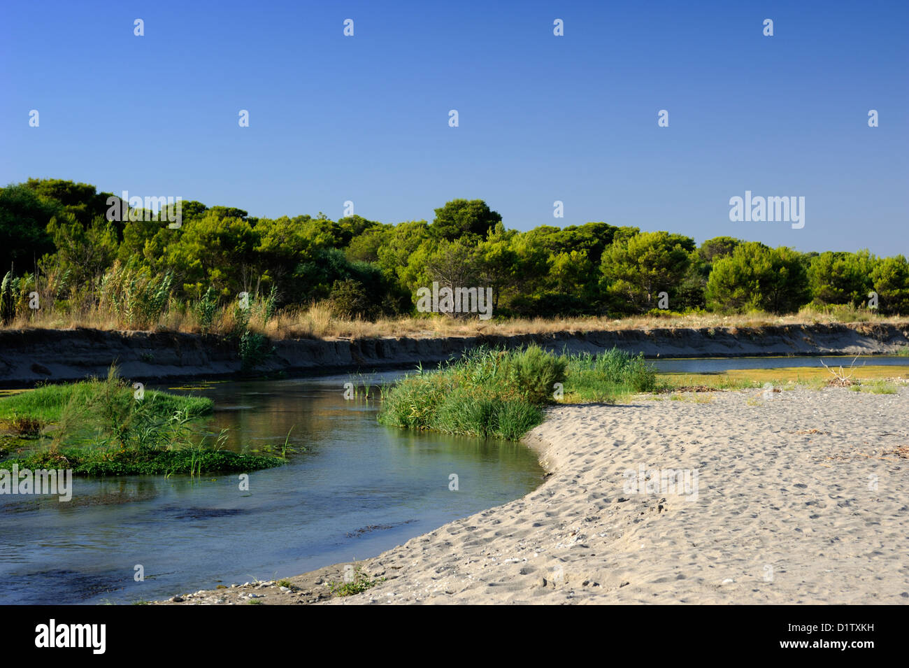 Wwf reserve hi-res stock photography and images - Alamy