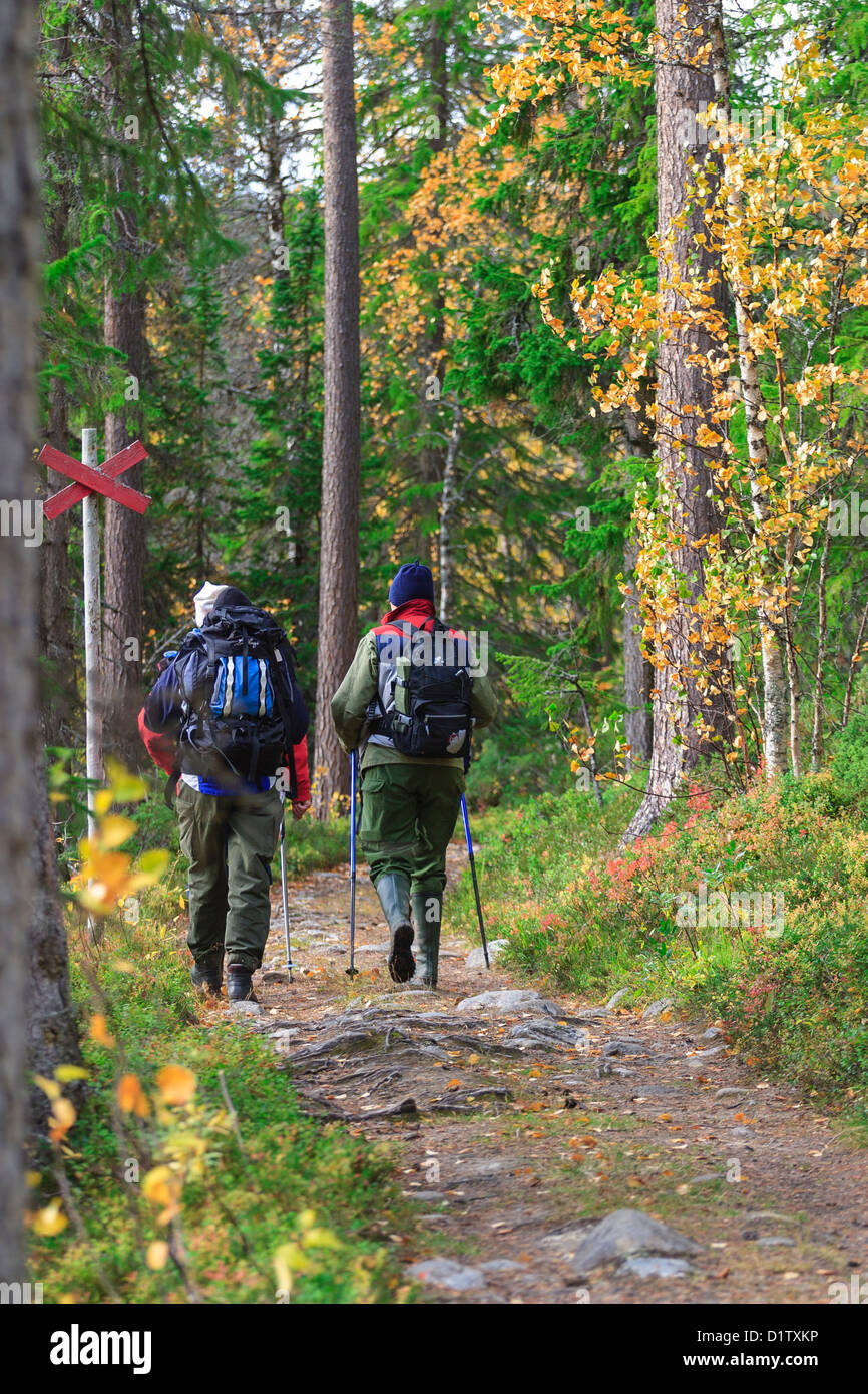 Woman walking on the forest path with sticks Stock Photo - Alamy