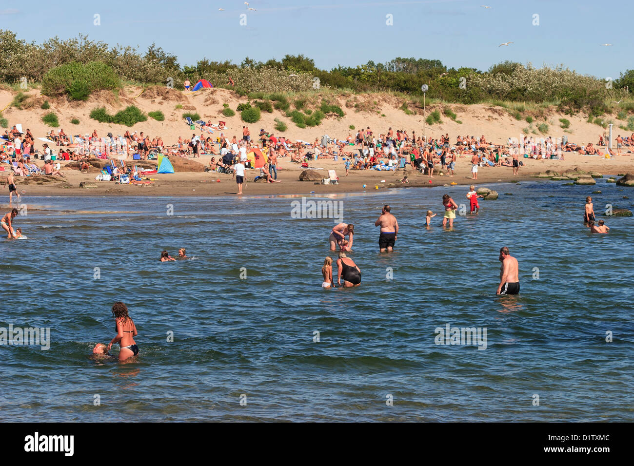 Bathe sunbathing hi-res stock photography and images - Alamy