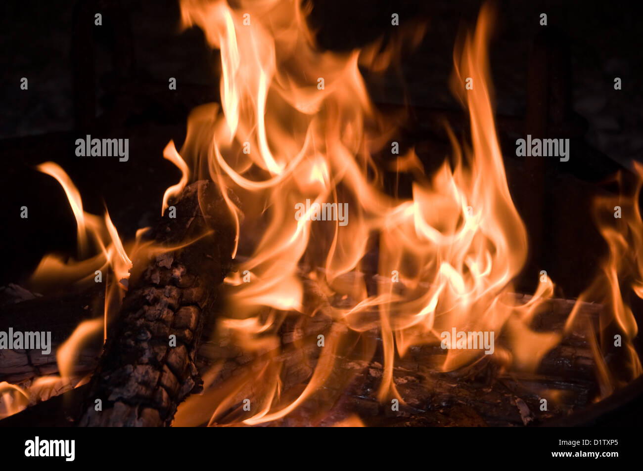 Open flames of a campfire Stock Photo - Alamy