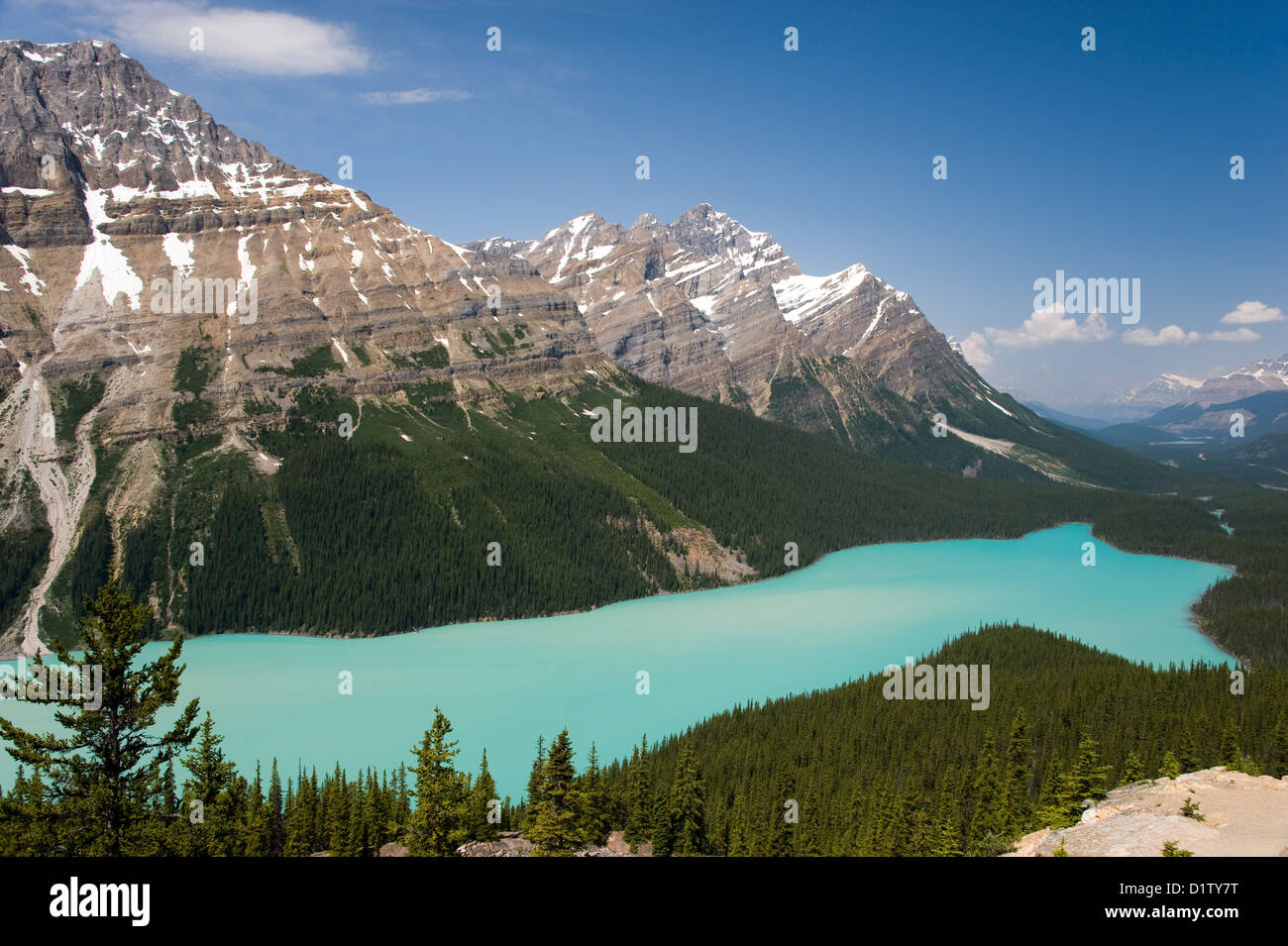 Turquoise water in Peyto Lake in the Banff National Park wilderness ...
