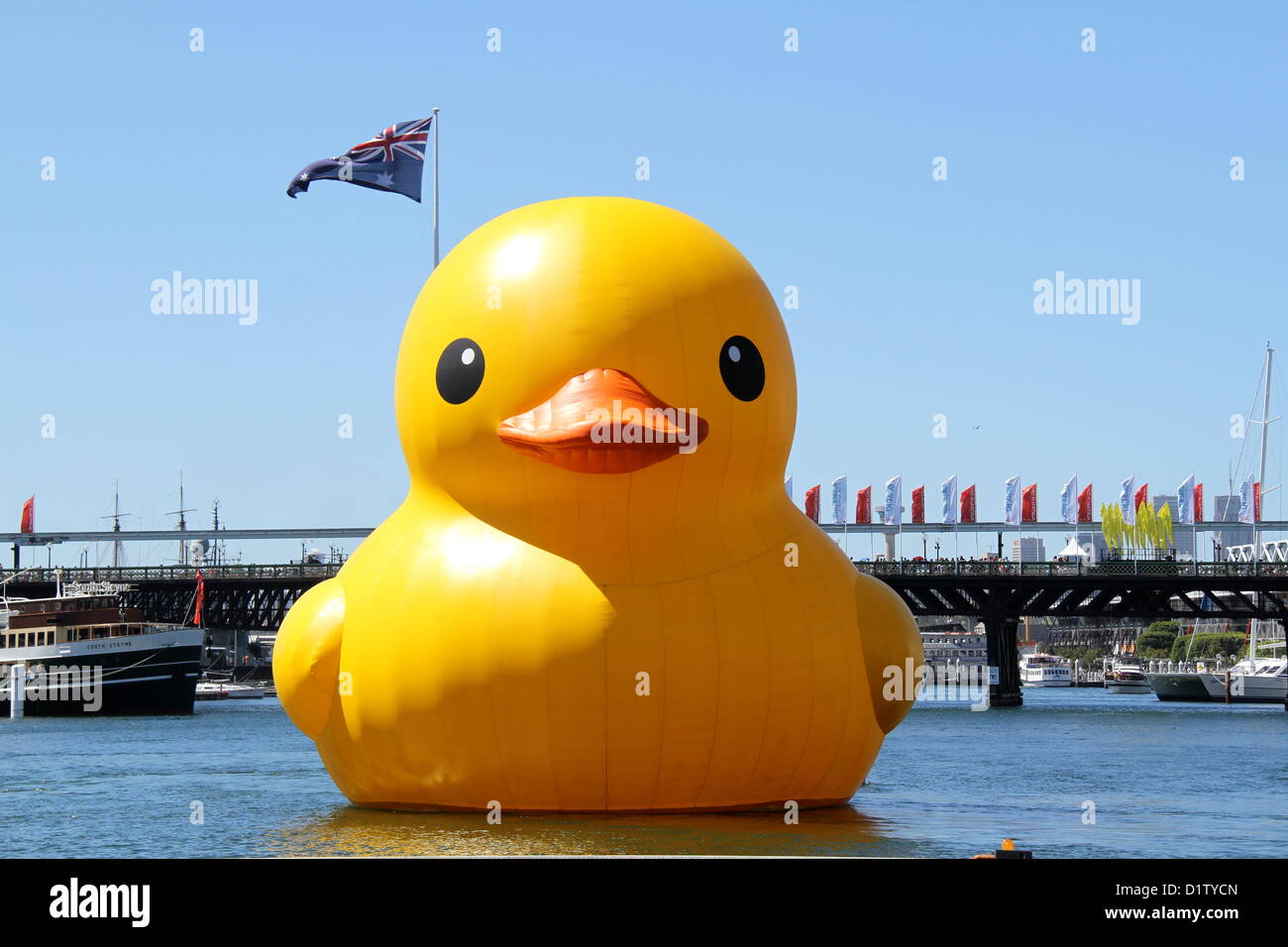 The giant yellow rubber duck arrives in Darling Harbour in Sydney, as ...