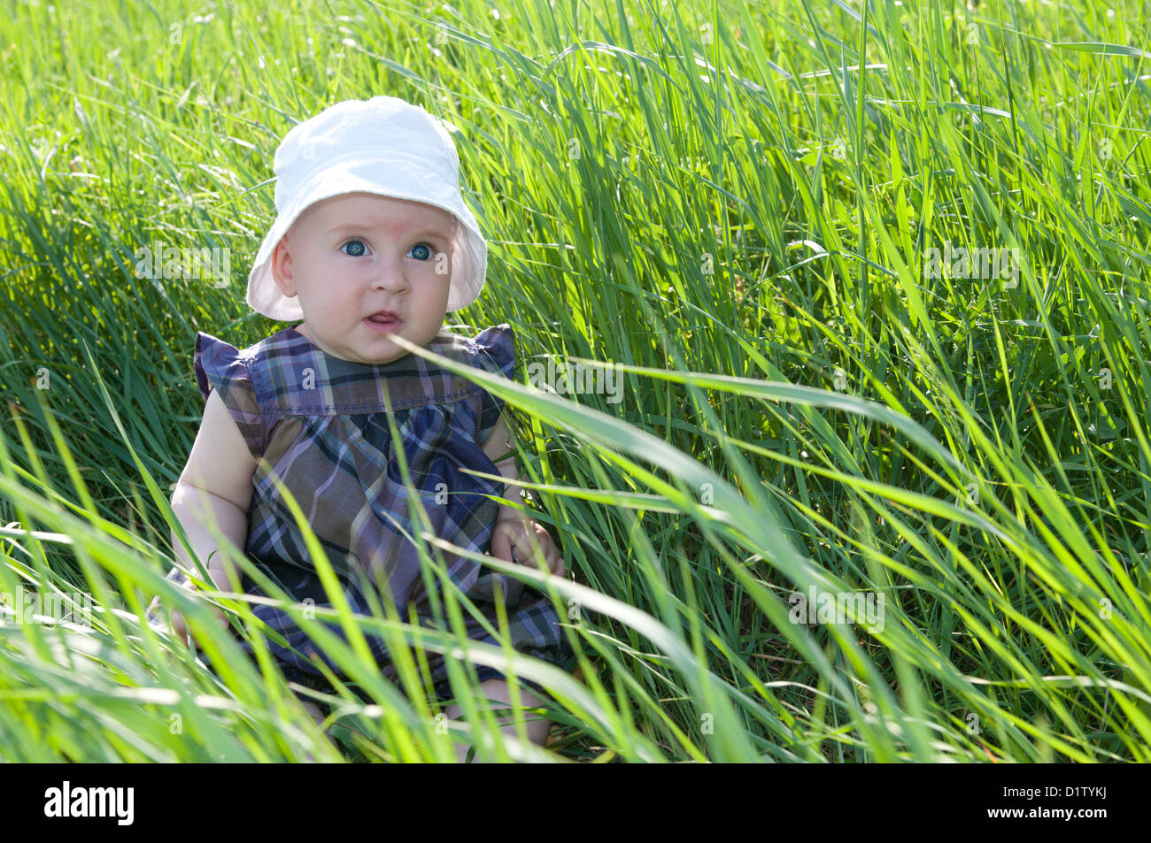 small child sitting on the green grass Stock Photo - Alamy