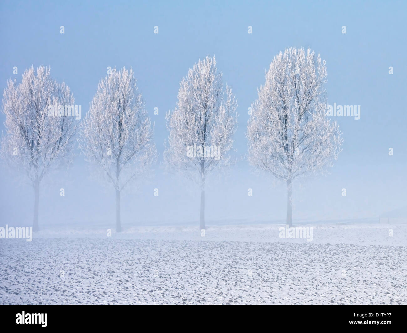 Frozen landscape in winter Stock Photo - Alamy