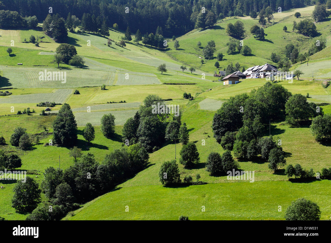 Typical german agricultural european hi-res stock photography and ...