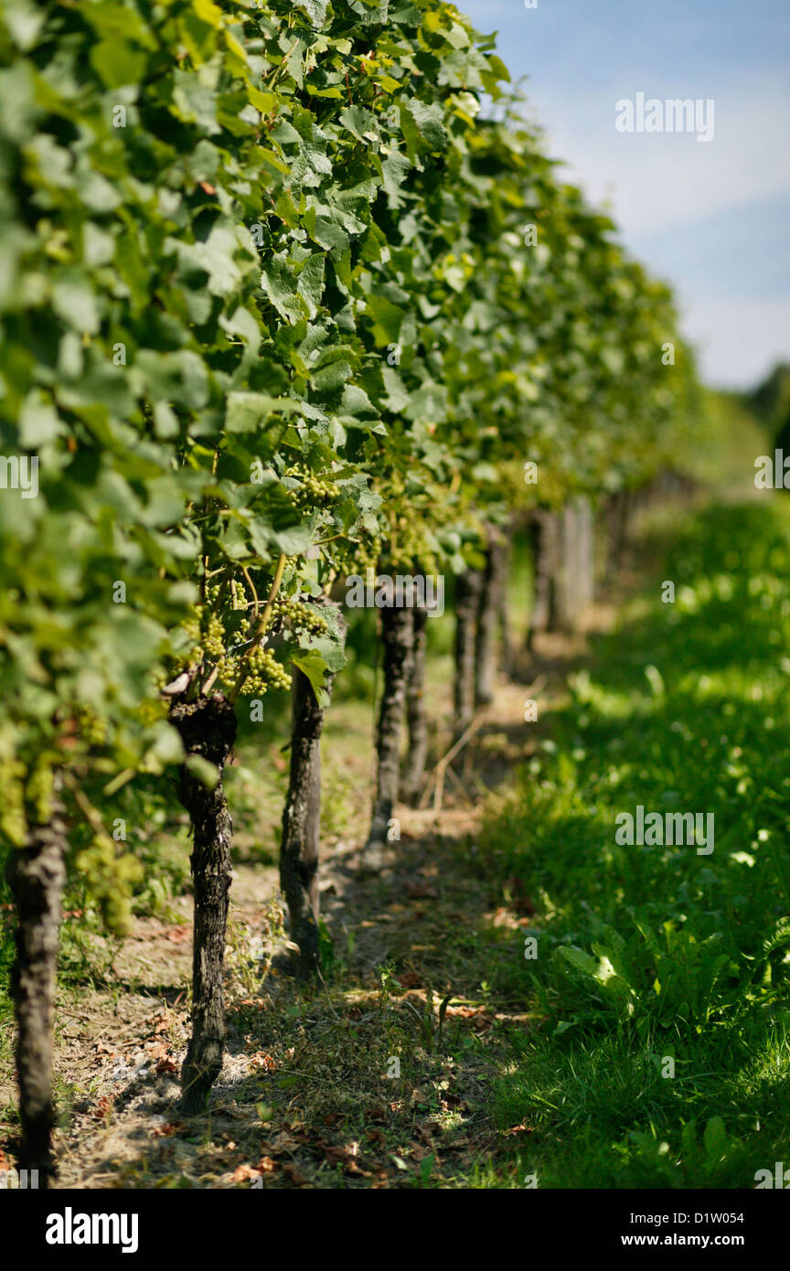 Series parallel hi-res stock photography and images - Alamy