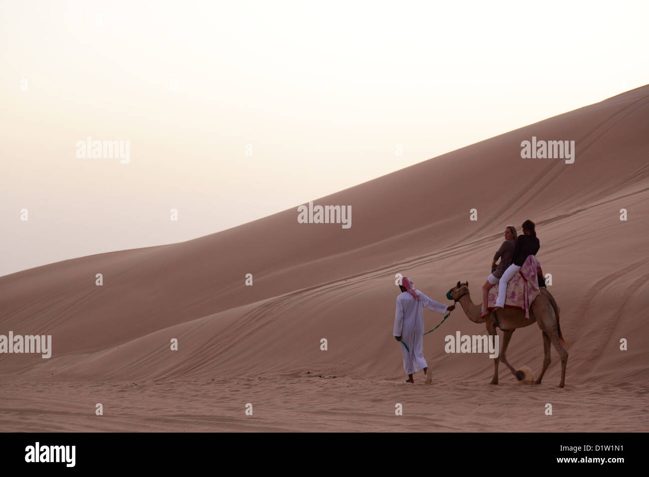 Abu Dhabi, United Arab Emirates, camel rides in the desert Stock Photo ...