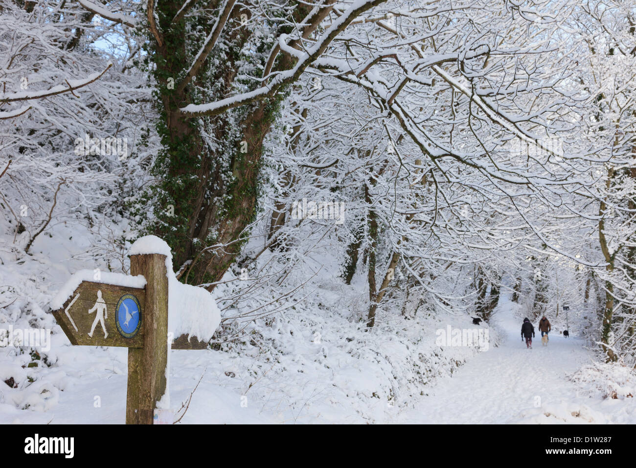 Isle of Anglesey coastal path signpost in woodland countryside covered ...