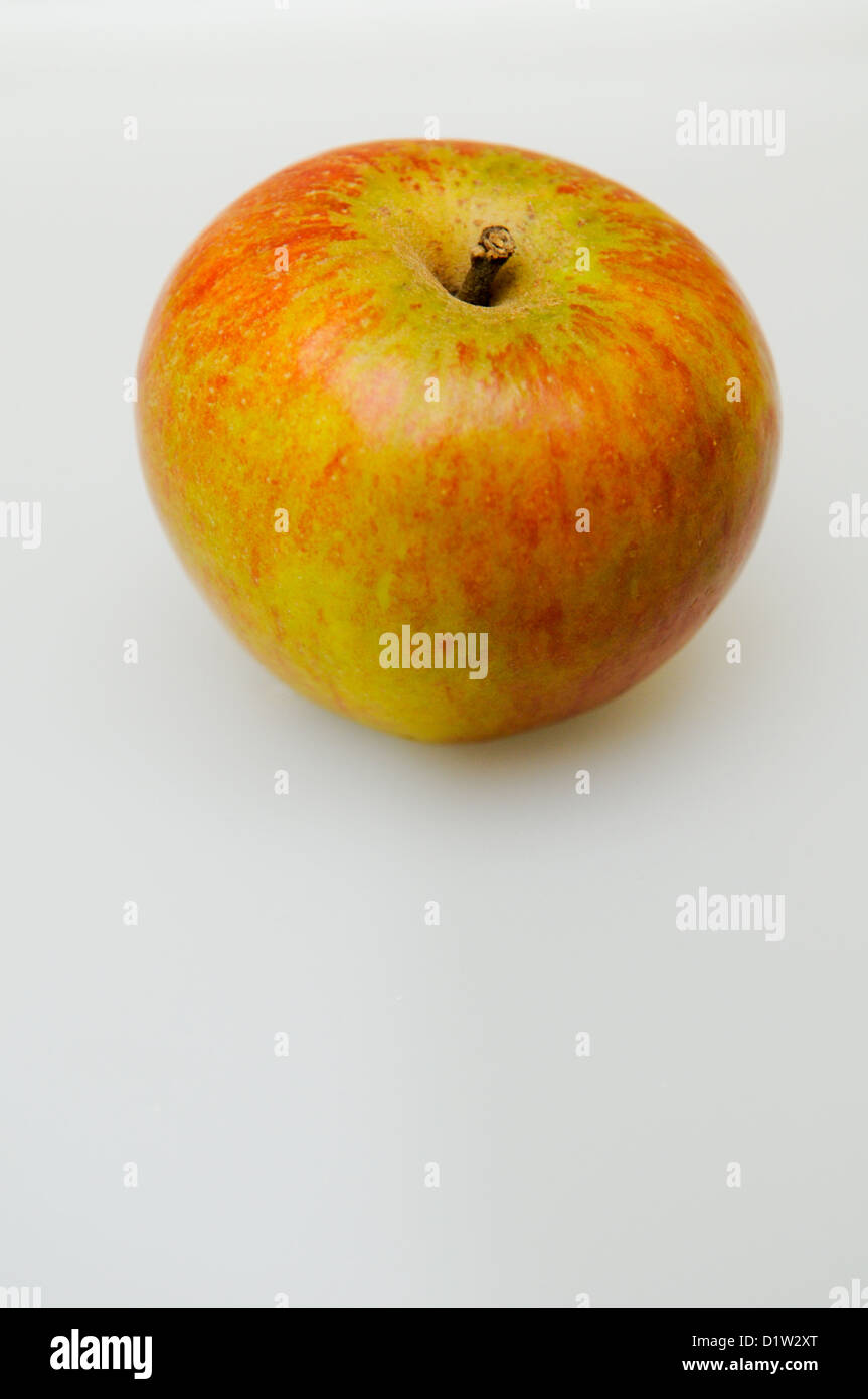 Single English Cox's apple on a white back ground Stock Photo - Alamy