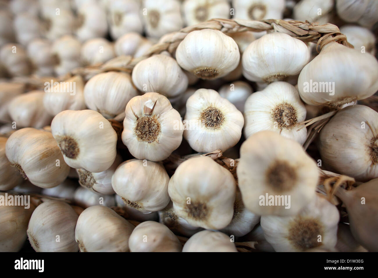 Budapest, Hungary, garlic Stock Photo - Alamy