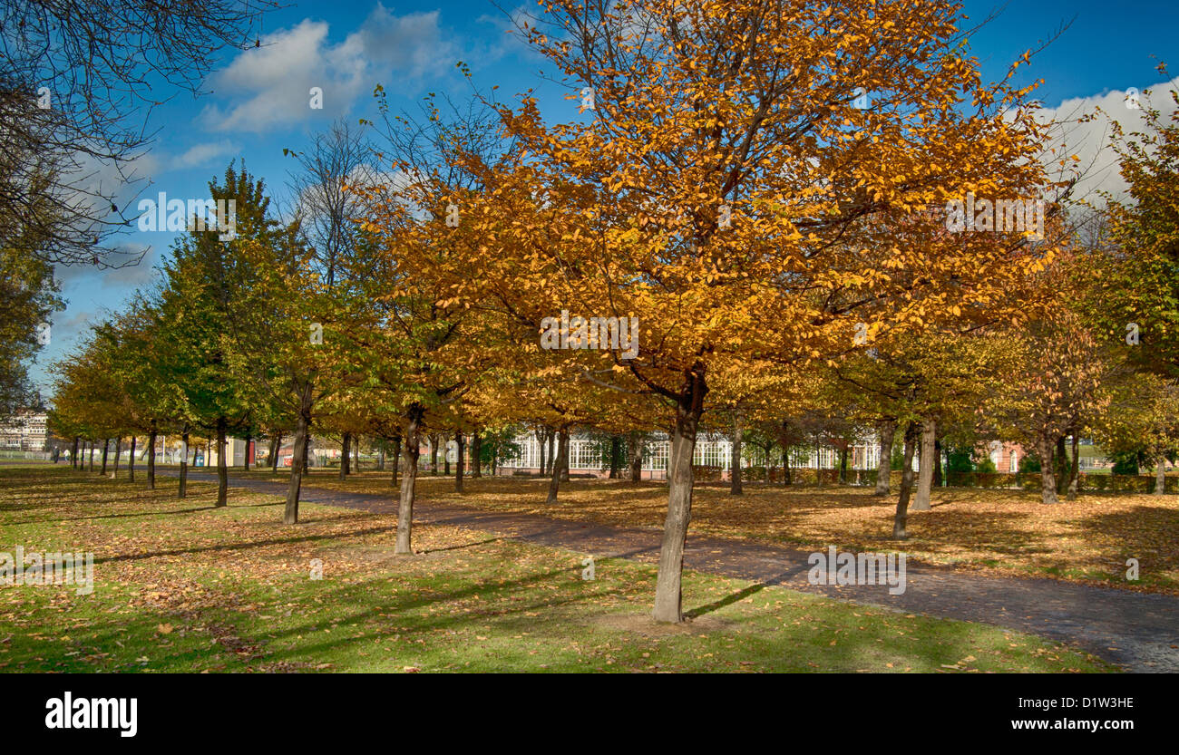Glasgow Autumn Colours High Resolution Stock Photography and Images - Alamy