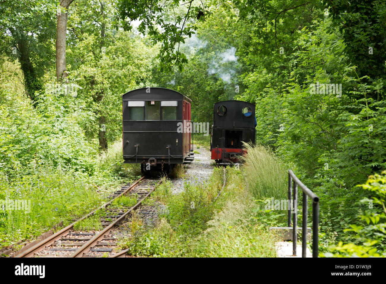 Teifi Valley Railway Wales Stock Photo - Alamy