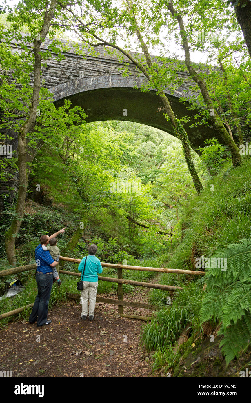 Teifi railway hi-res stock photography and images - Alamy