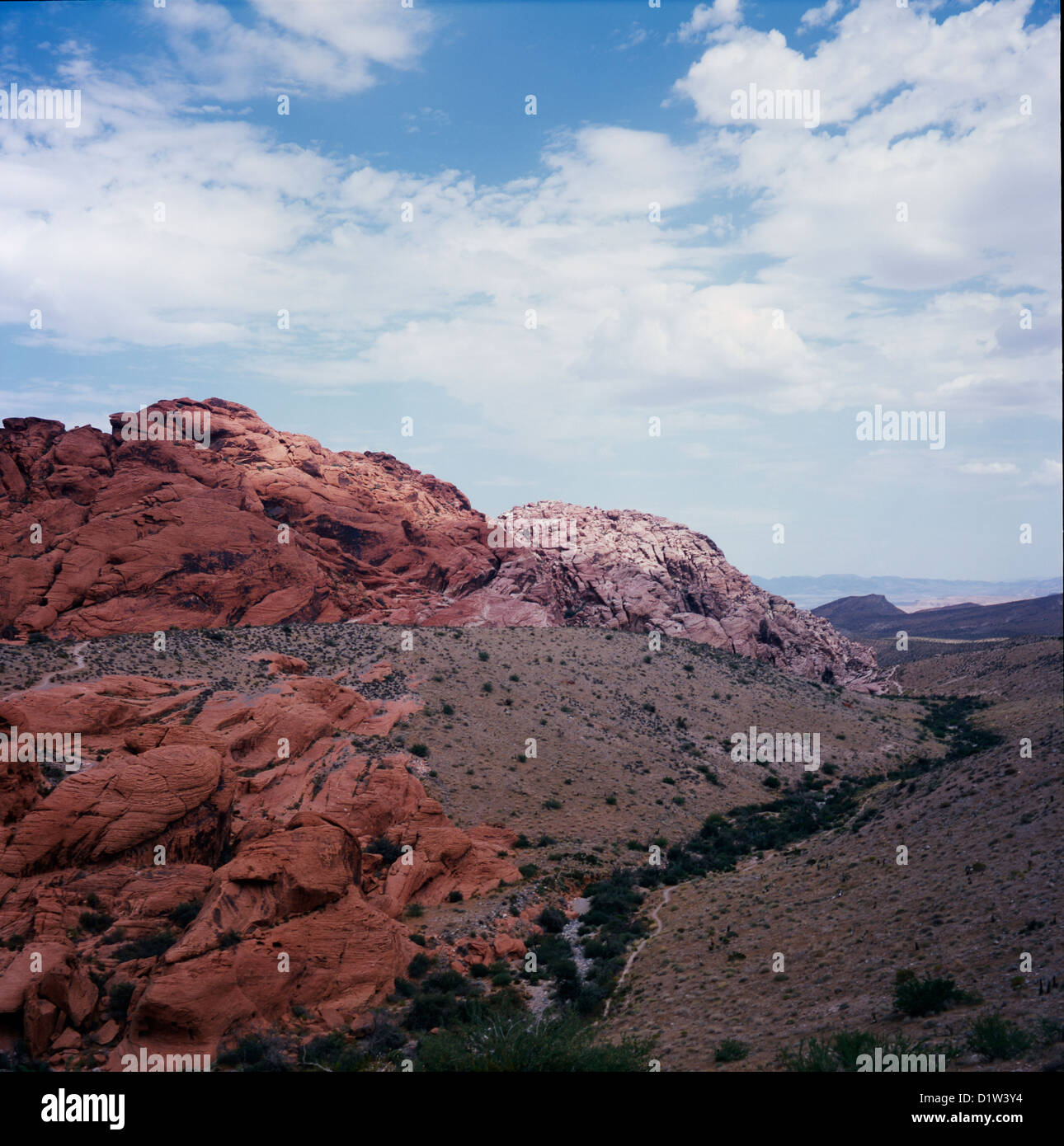 Red Rock National Park, Nevada USA Stock Photo - Alamy