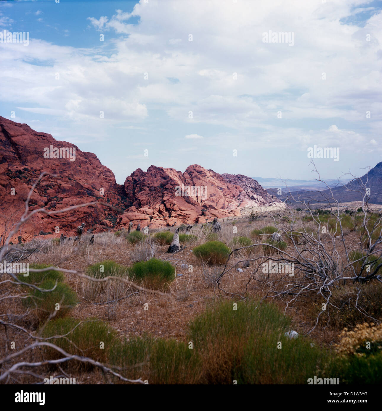 Red Rock National Park, Nevada USA Stock Photo - Alamy