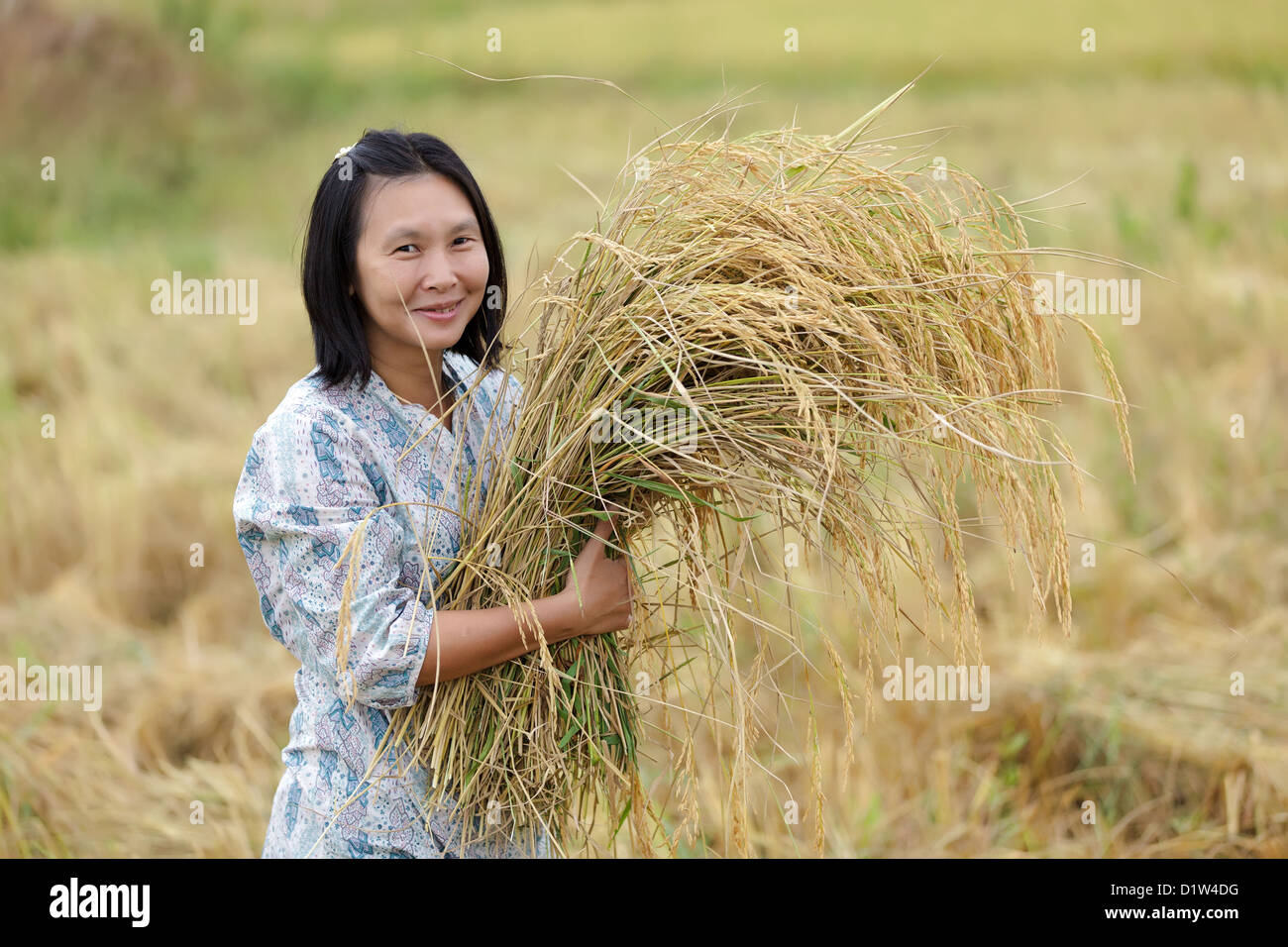 Woman carrying rice in rice hi-res stock photography and images - Alamy