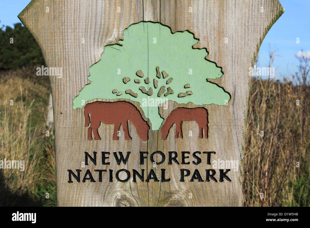 The New Forest National Park wooden sign Hampshire England UK Stock ...