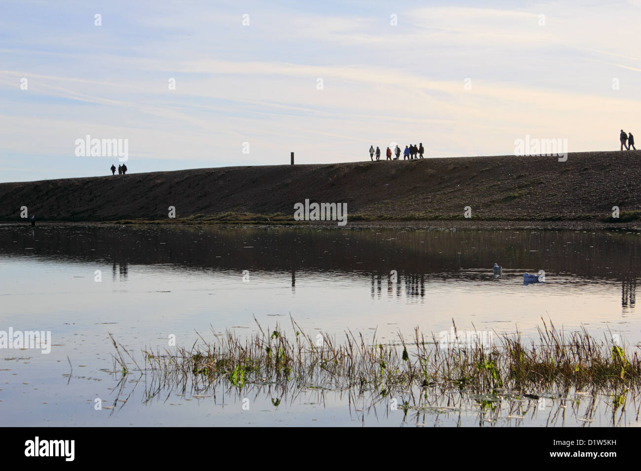 Hurst Castle Spit, Hampshire England UK Stock Photo - Alamy