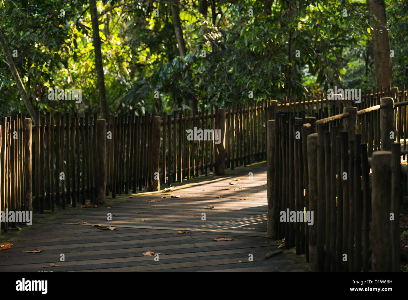 Shortcut park hi-res stock photography and images - Alamy