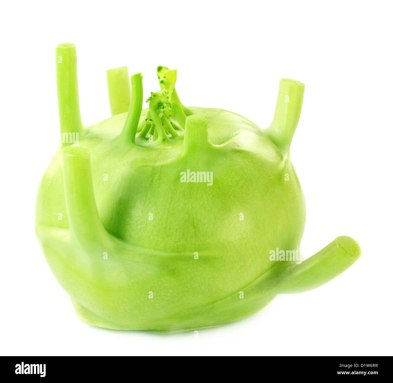 German plant Cut Out Stock Images & Pictures - Alamy