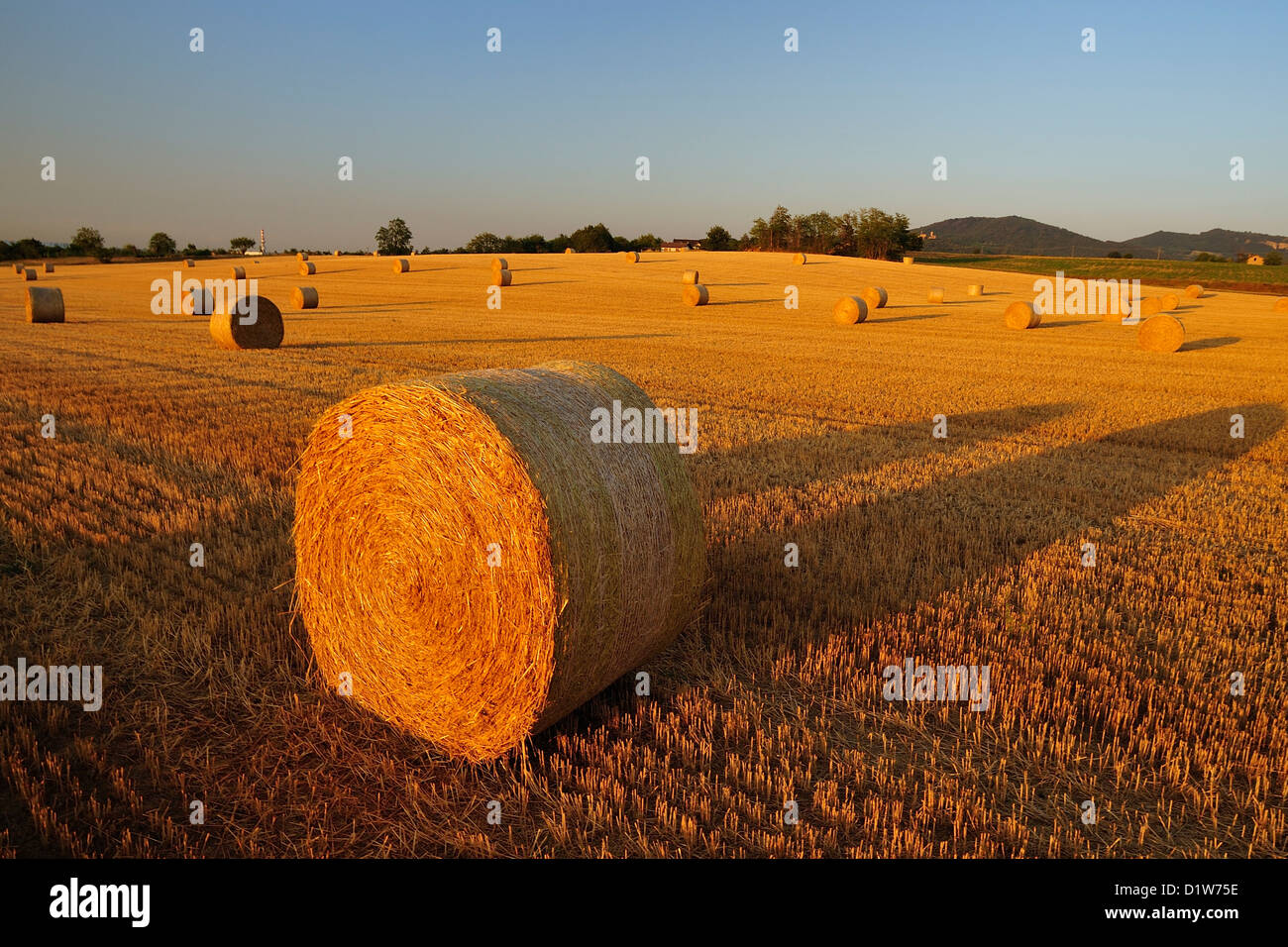 Sunset at the farm in Italy Stock Photo - Alamy