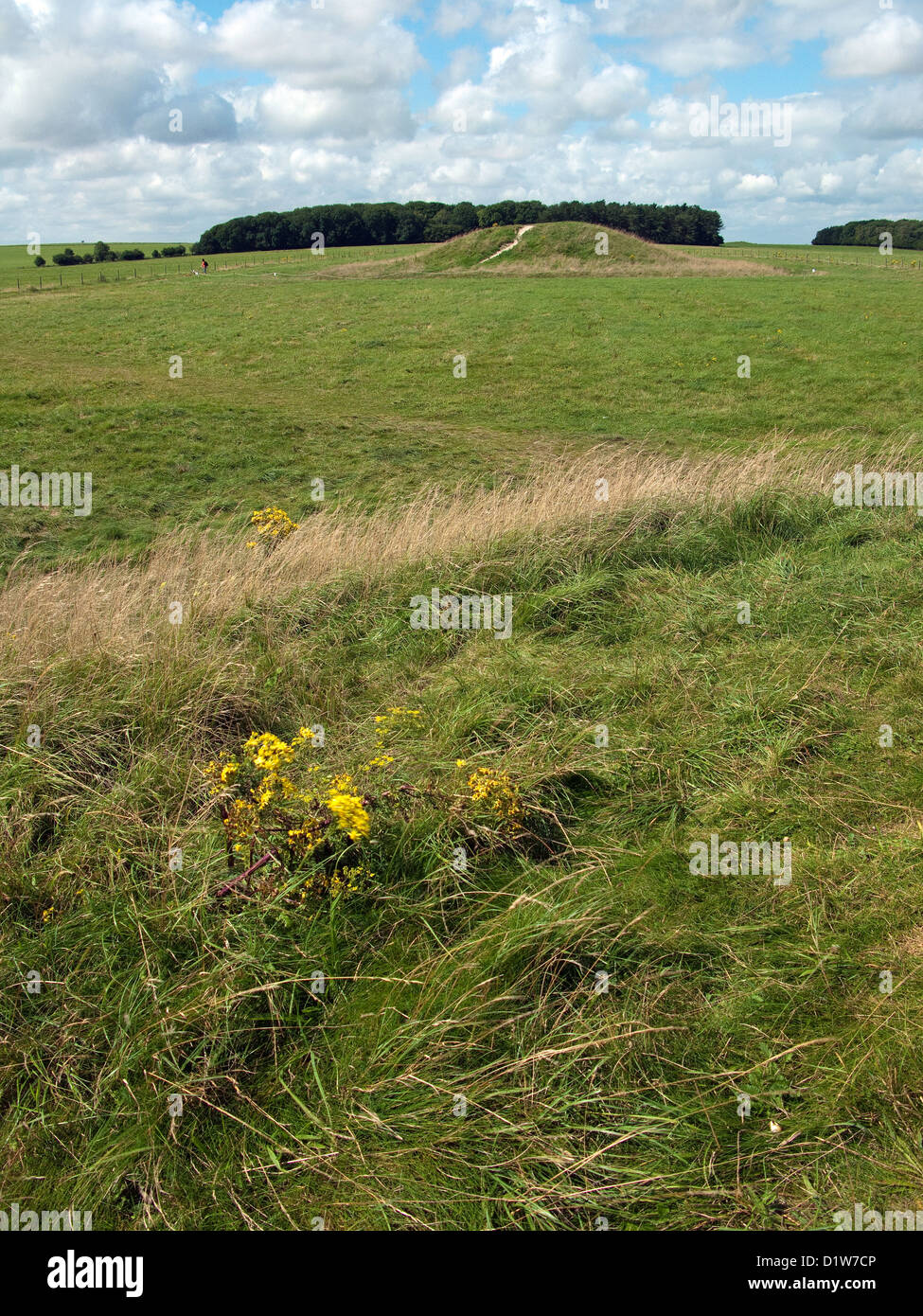 Bowl Barrow Burial mounds at Stonehenge in Wiltshire England UK Stock ...