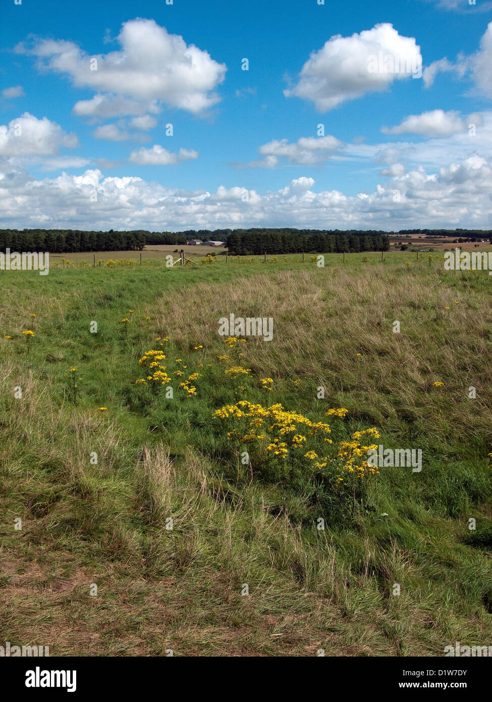 Bowl Barrow Burial mounds at Stonehenge in Wiltshire England UK Stock ...