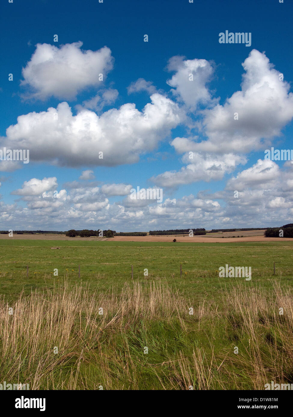 Bowl Barrow Burial mounds at Stonehenge in Wiltshire England UK Stock ...